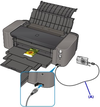 Canon : PIXMA Manuals : PRO-10S series : Printing Photographs Directly from a PictBridge ...
